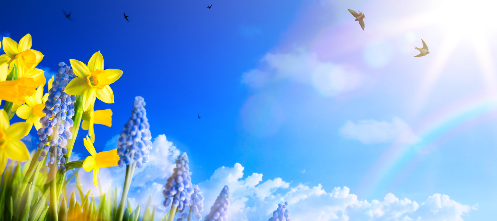 The TRUth Behind Spring Fever and Ways to Overcome Seasonal Discomfort ...